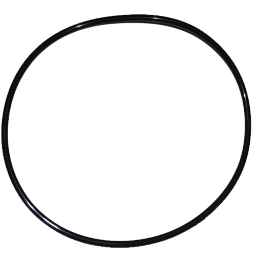 Big Blue O-Ring for Filter Housing
